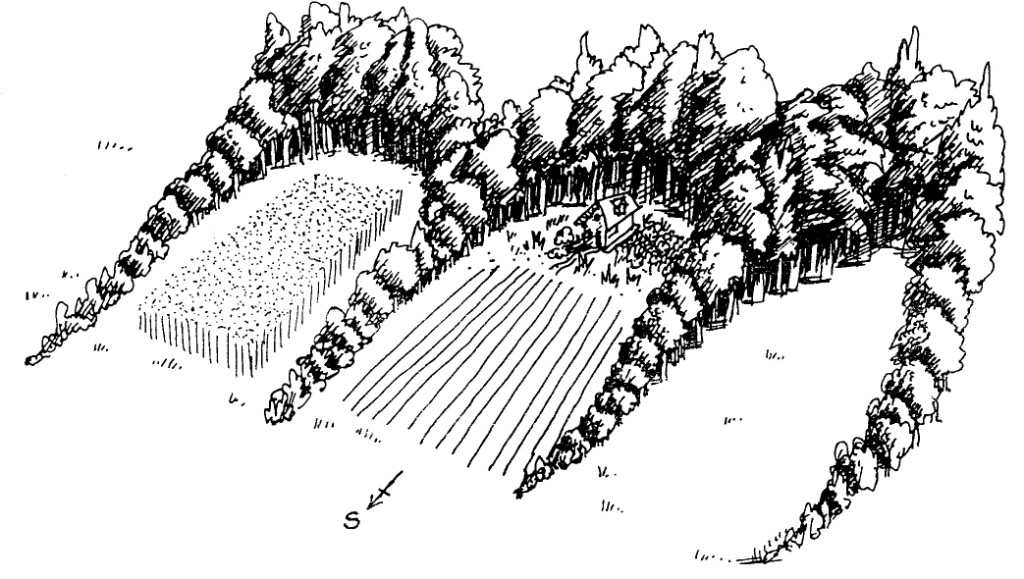 Permaculture 2 - Bill Mollison