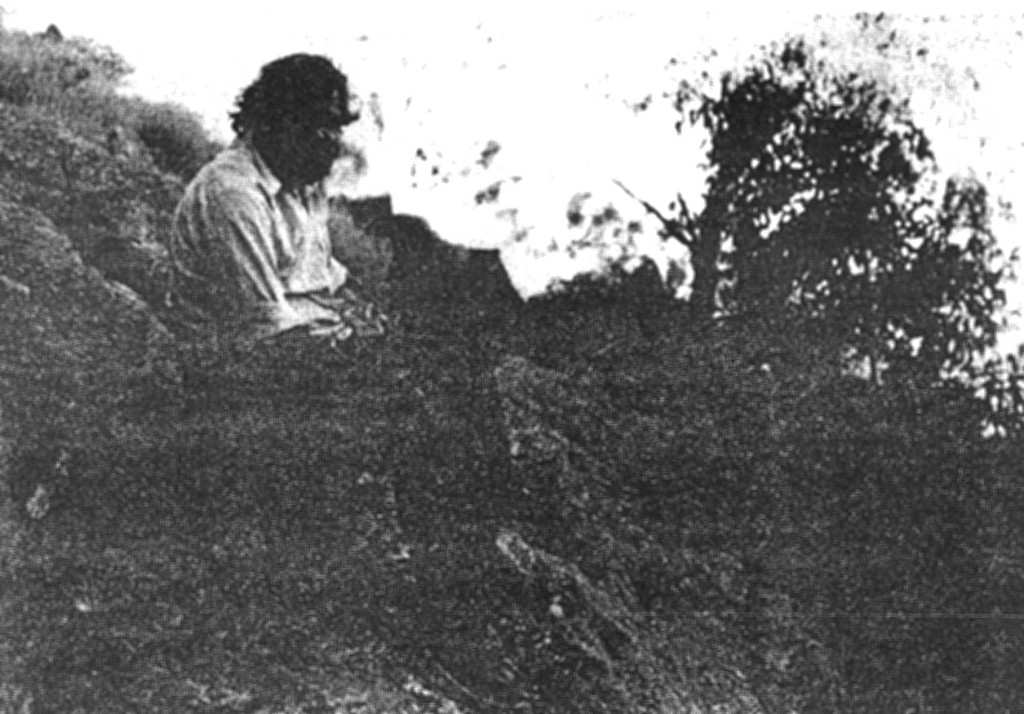 Permaculture 2 - Bill Mollison